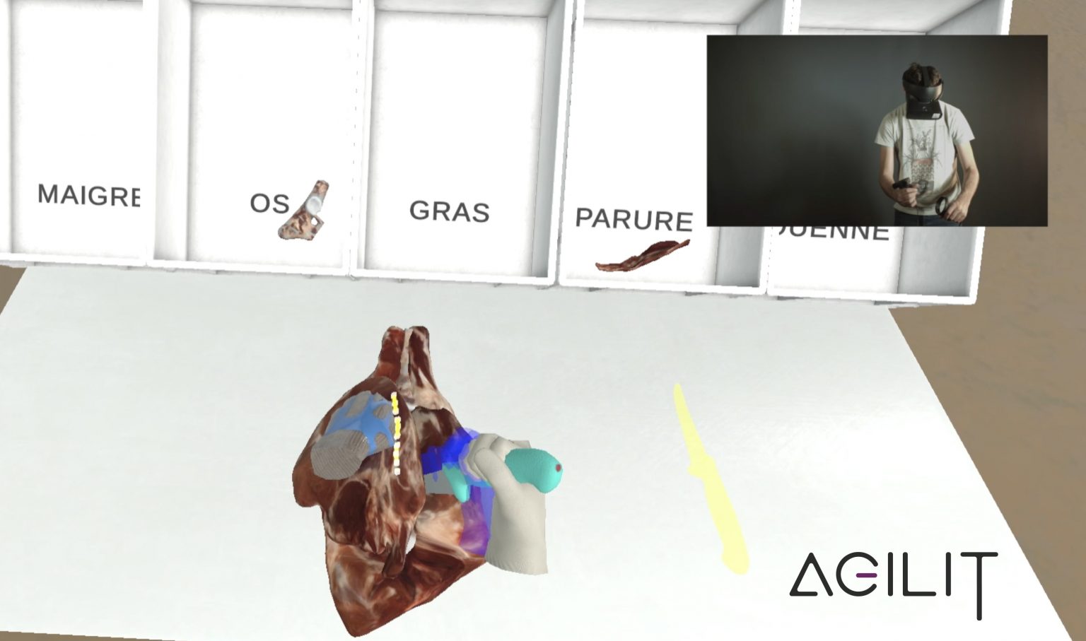 Réalité Virtuelle – AgiliT